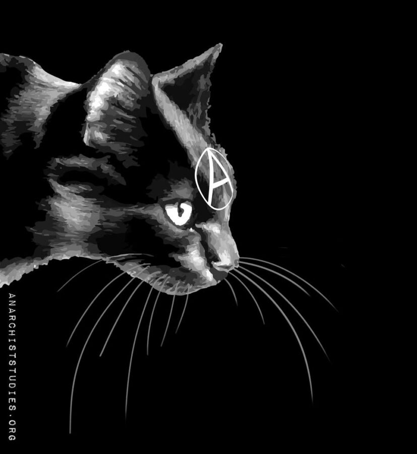Anarchy Cat Hoodie – The Institute for Anarchist Studies